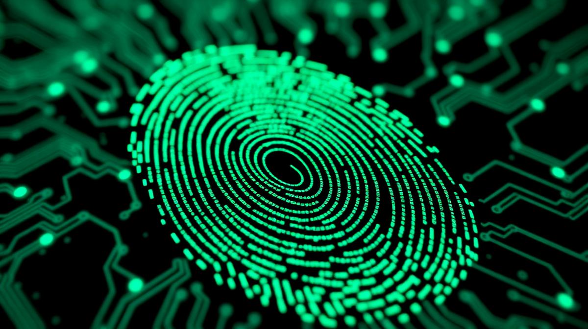 Email Sequences That Nurture Leads Into Customers | Mulacan Blog